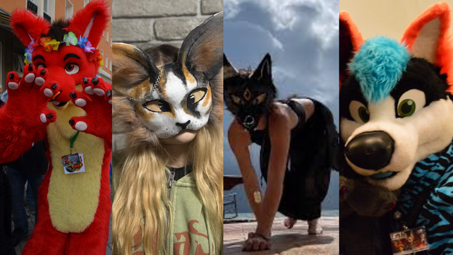 Personas con orejas, cola y cuatro patas: qué son los therians y furros ...