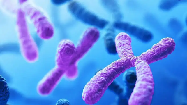 Síndrome de Down y los pilares para una vida autónoma