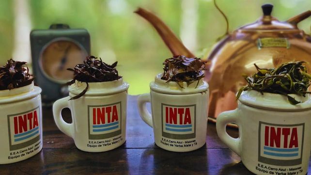 Té argentino: doble distinción internacional