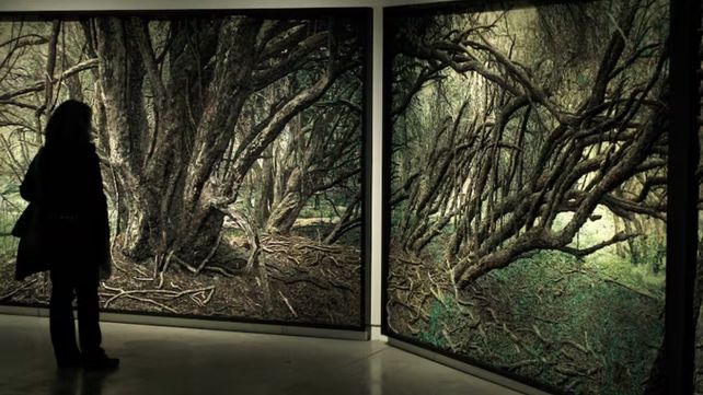 La instalación del grupo Mondongo, récord del arte argentino, llega a ...