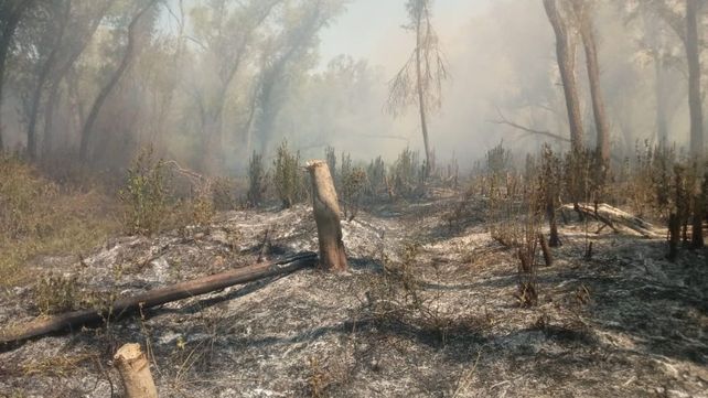 Un fuego mal apagado por kayakistas habría derivado en un incendio en ...