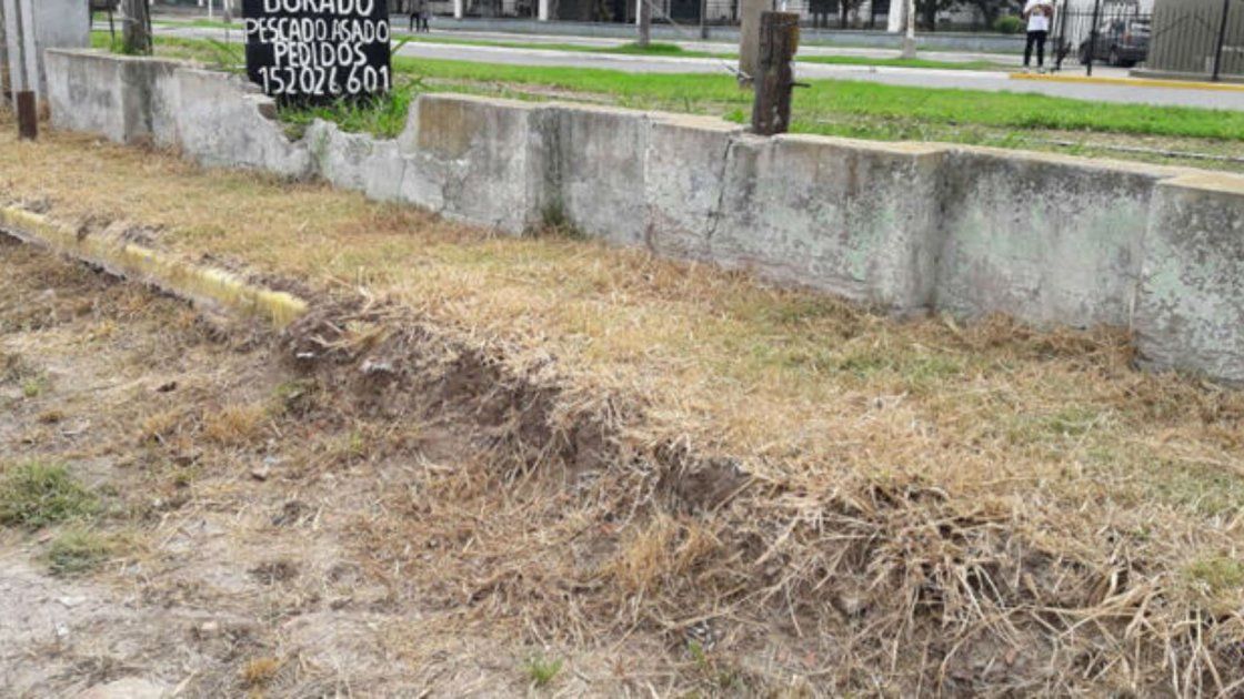 Apareció pasto quemado cerca de una escuela y sospechan de un herbicida