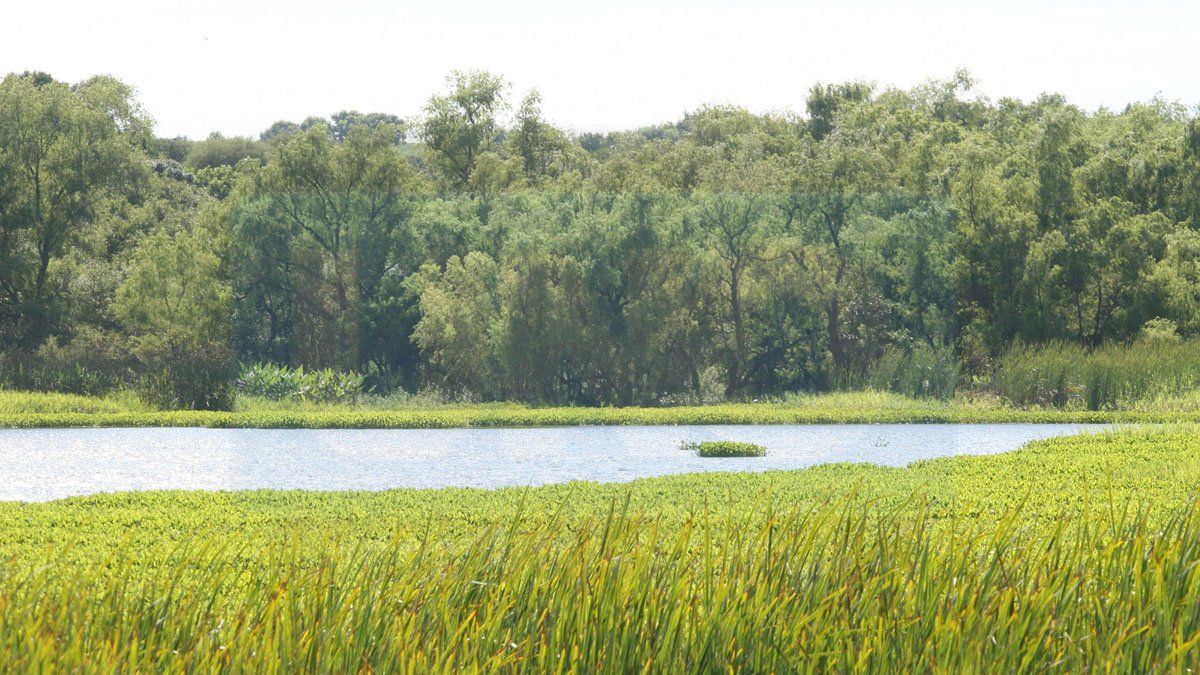 Ley de Humedales: los puntos más importantes