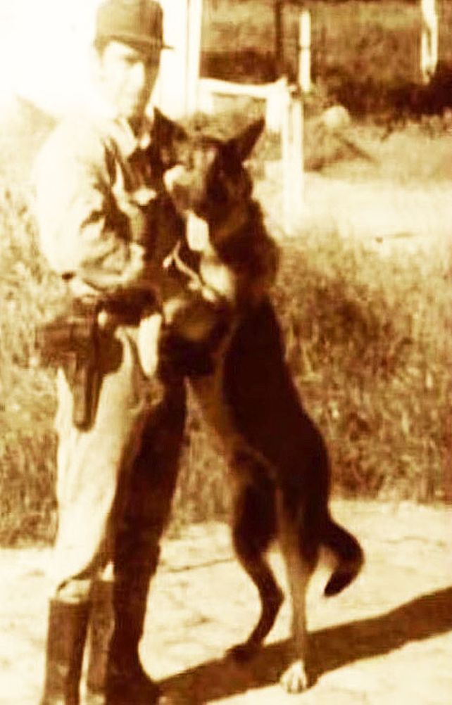 Chonino, el perro policía que es historia