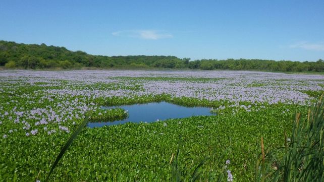 Turismo en las Lomadas entrerrianas y ruta del Delta