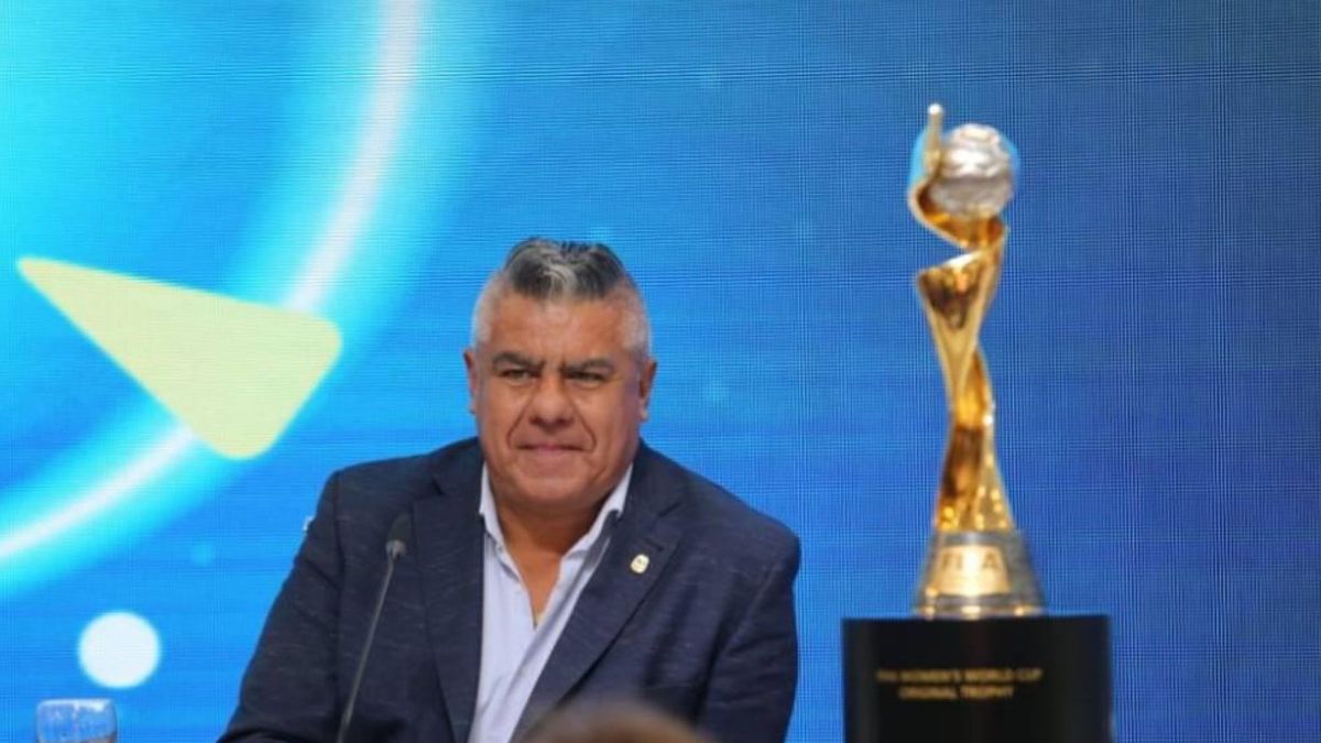 Claudio Tapia dijo ser el presidente de la inclusión en AFA