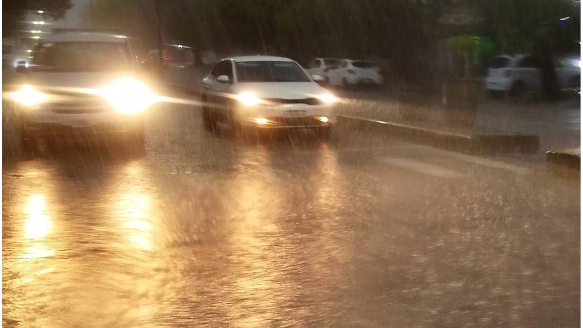 Diluvia en Paraná y la región: árboles caídos, calles anegadas y ...