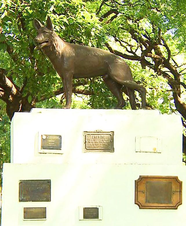 Chonino, el perro policía que es historia