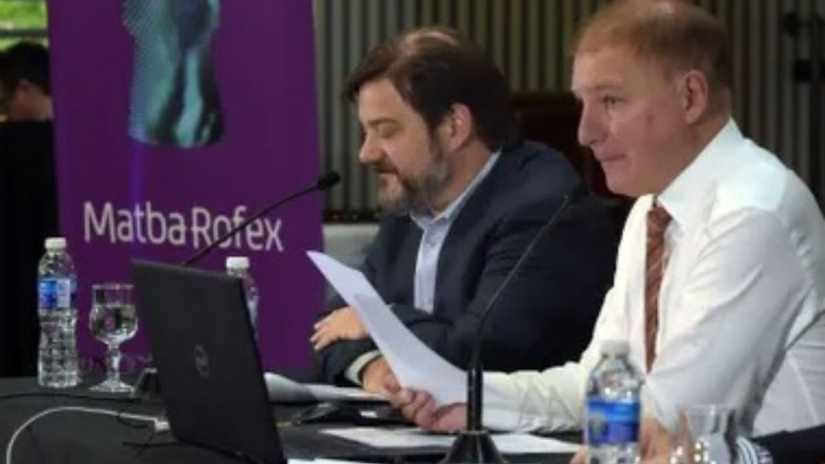 Matba Rofex lanzó una operatoria de futuros que se liquidará con su ...