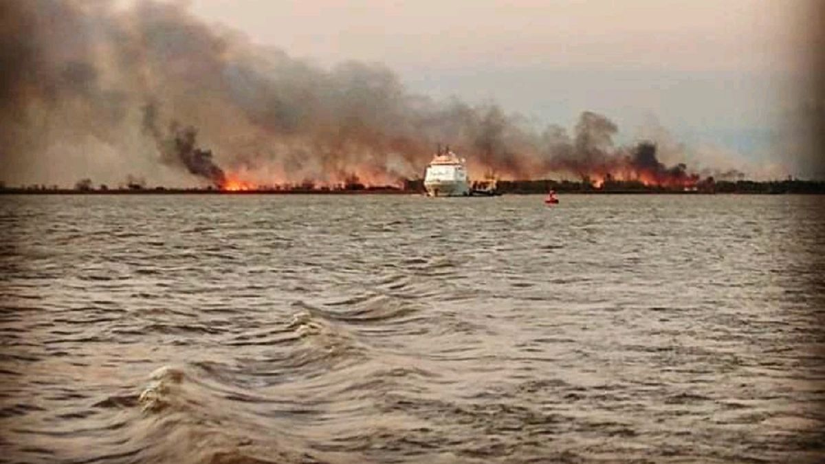 Quema en islas y diversidad ecológica