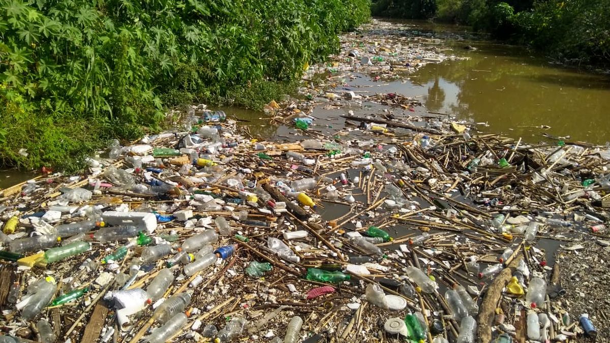 La isla de basura amenaza con llegar al río Paraná