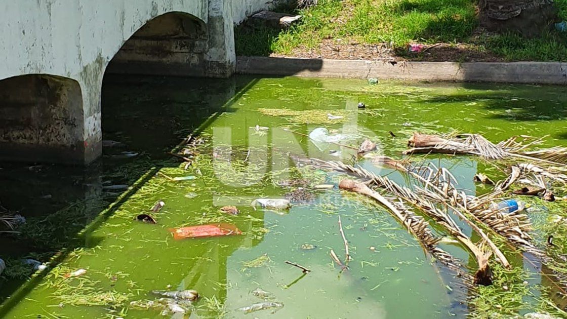 Vecinos del Parque Garay preocupados por aguas contaminadas y mucha basura