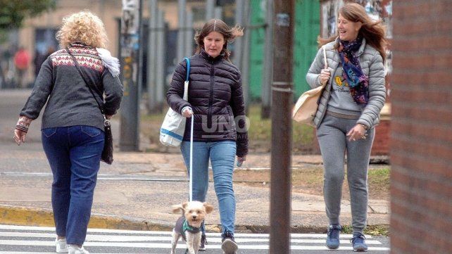Qué es la helada negra, el fenómeno que pone en alerta a gran parte del ...
