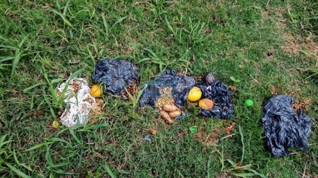 Descubren aparentes ritos umbandas con animales muertos