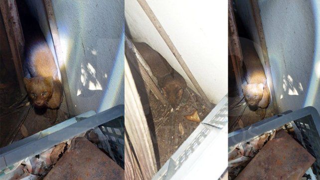 ویدیو سکسی هات oh wow! This one will definitely absolutely