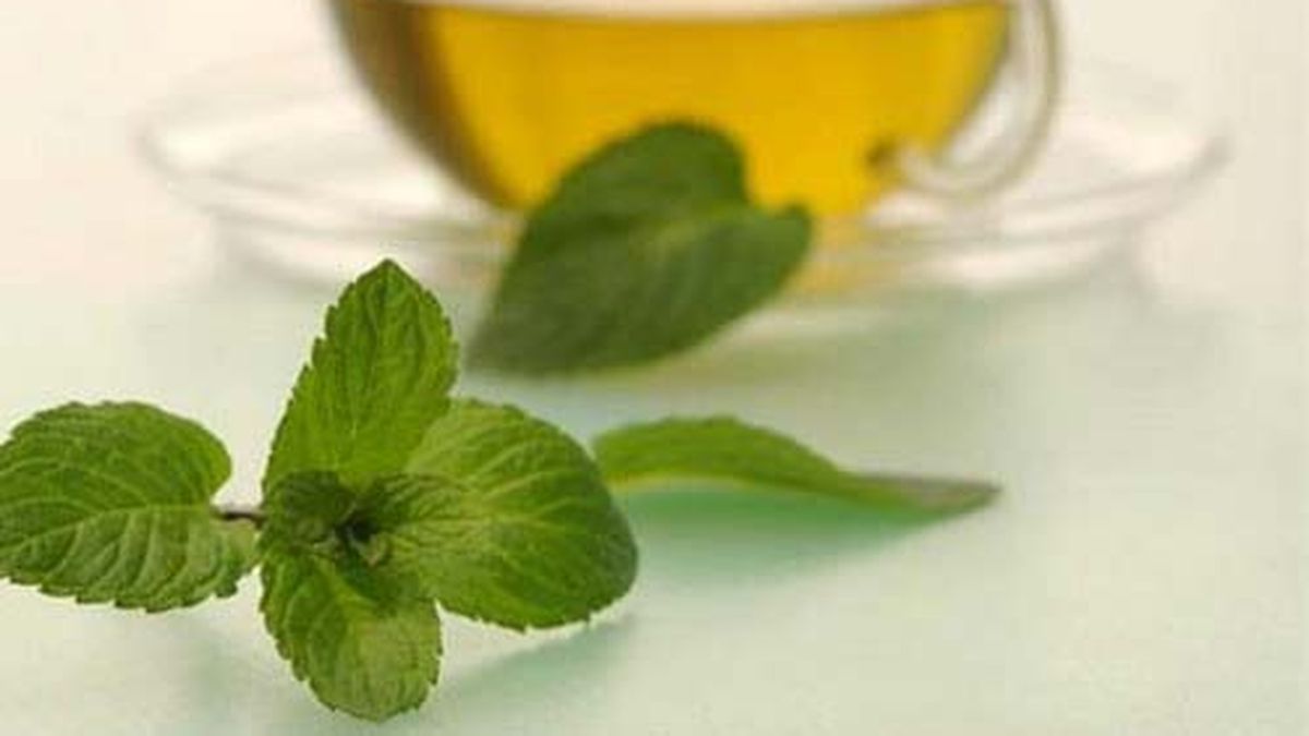 Propiedades del té de menta: delicioso y saludable