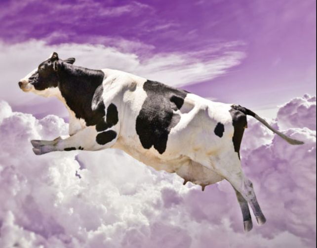 Tornado De Vacas Voladoras Falsos Mitos Históricos | Severo Y Malvado