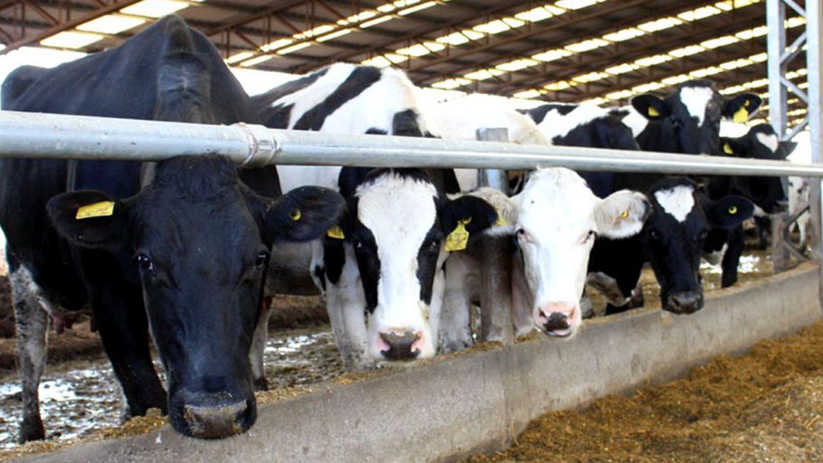 Reconocido informe pronostica un horizonte incierto para la lechería