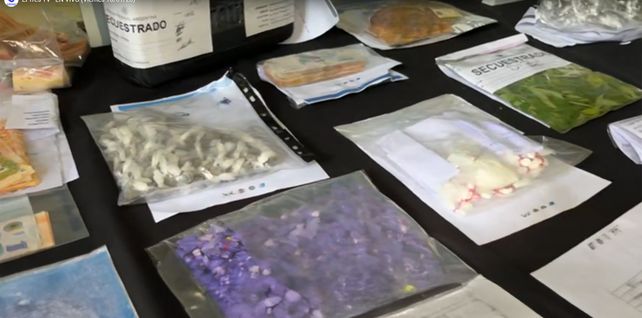 Amplio operativo contra Los Monos: 29 allanamientos con 11 detenidos en ...