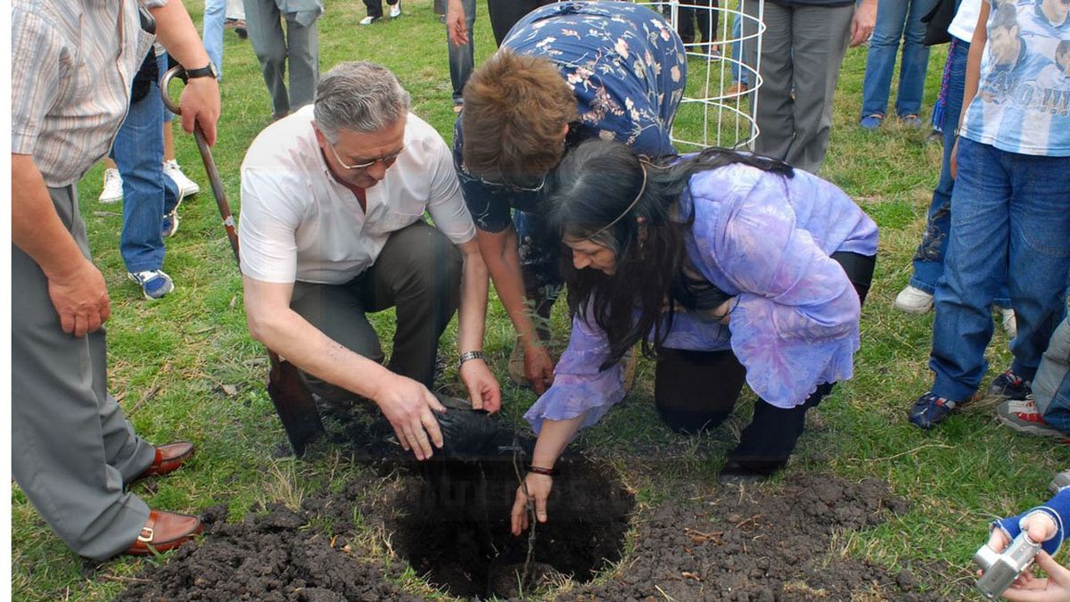 Saludable confluencia de leyes en defensa del monte indígena