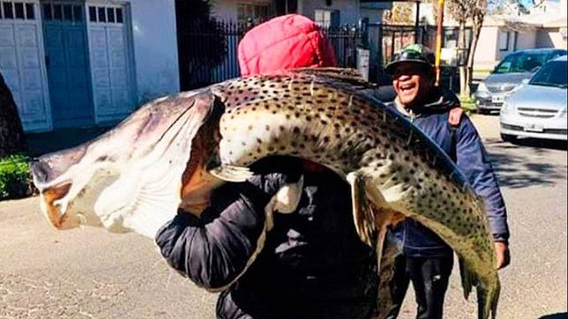 Pesca afortunda y surubí al hombro
