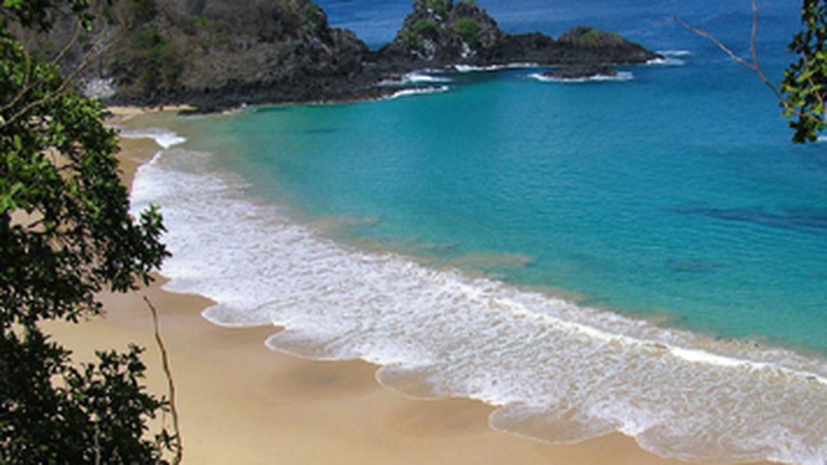 Praia do Forte: un edén de arena y mar en el norte de Brasil