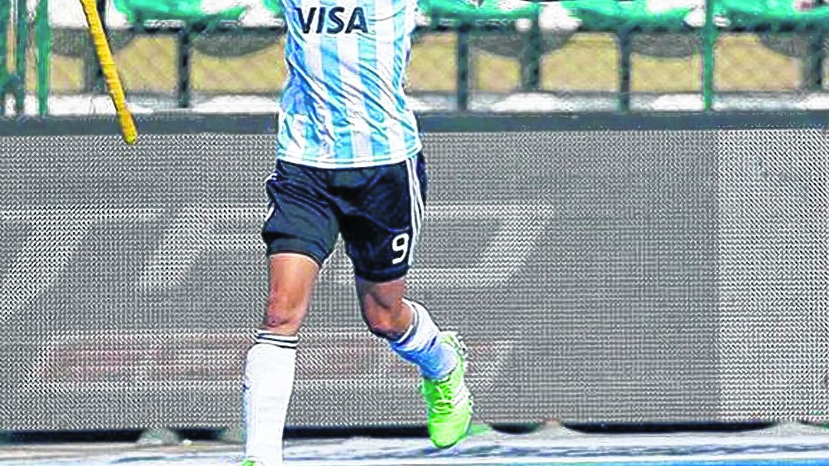 El vuelo del Tero