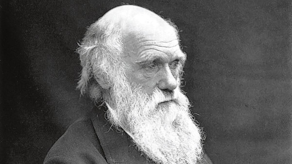 El trabajo de Darwin en la Argentina fue fundamental para la teoría de ...