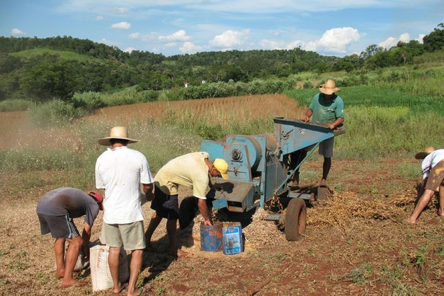 De la chacra local a la confederación continental