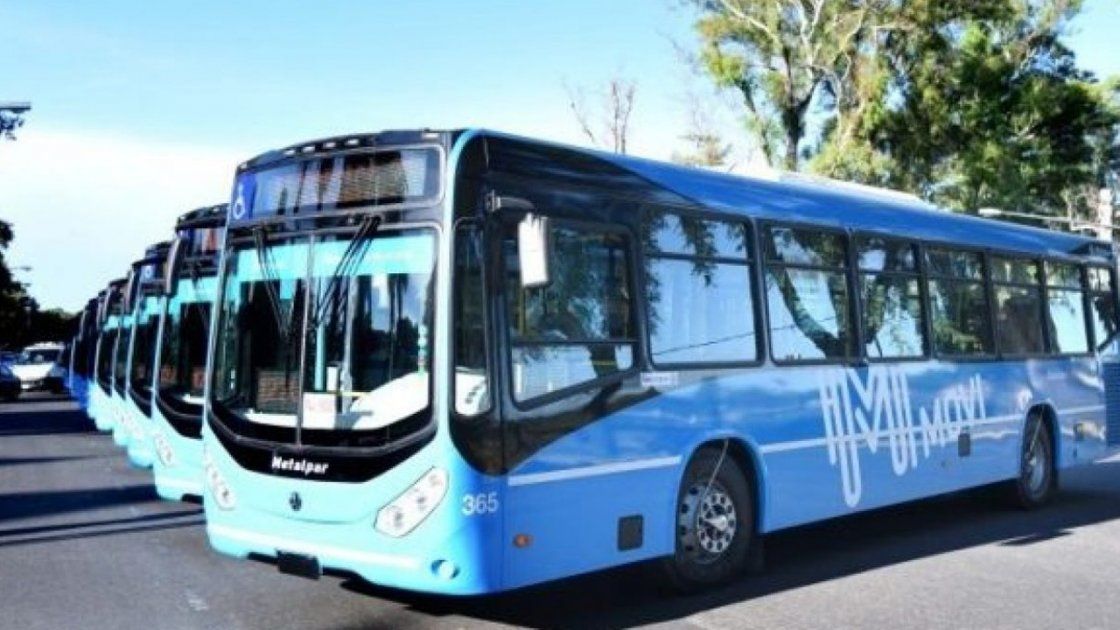 El nuevo sistema de colectivos funcionará a pleno a mitad de 2019