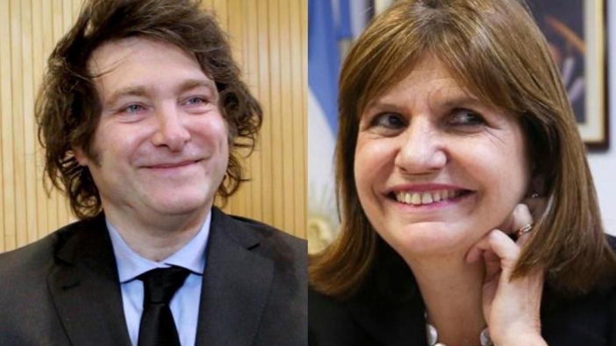 Patricia Bullrich anticipó que si gana las presidenciales hará una alianza legislativa con Milei