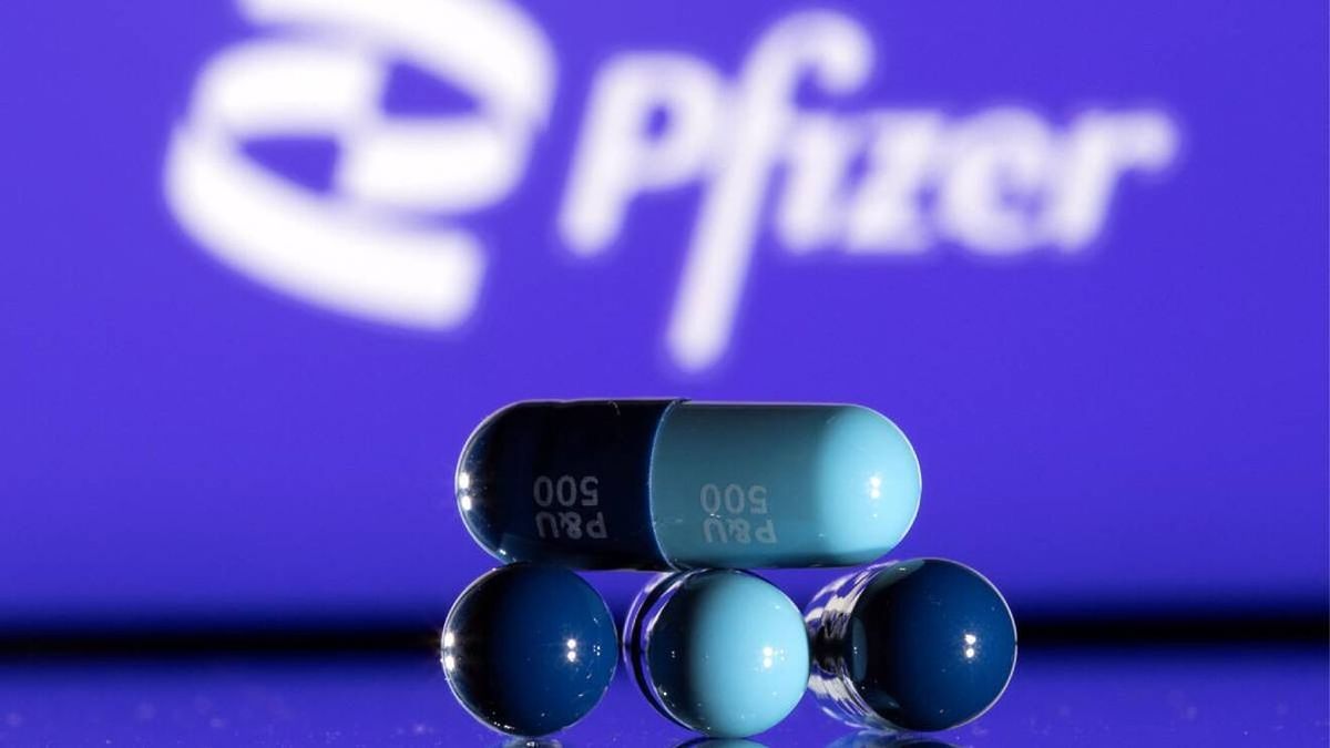 Todos los detalles de la píldora de Pfizer contra el Covid y el aporte ...