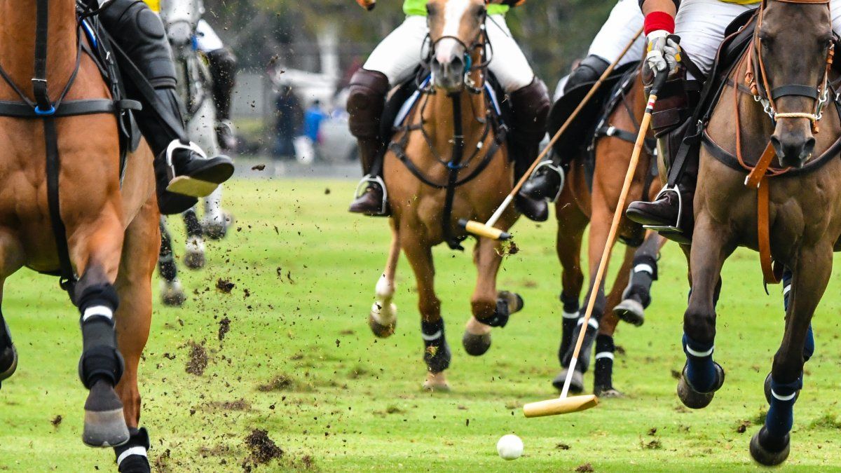 ¿Cuánto cuesta jugar al polo en Rosario?