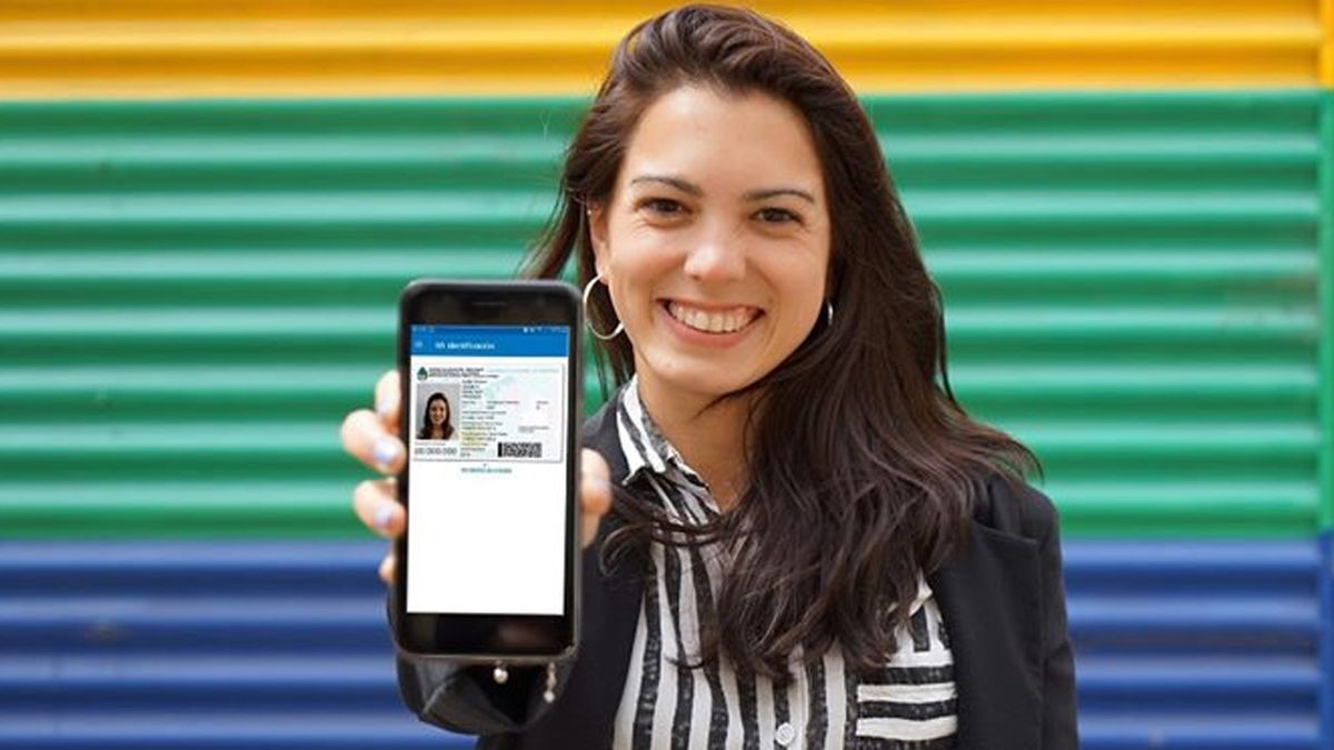 Cómo son los nuevos DNI que presentó el gobierno y qué pasa con las ...