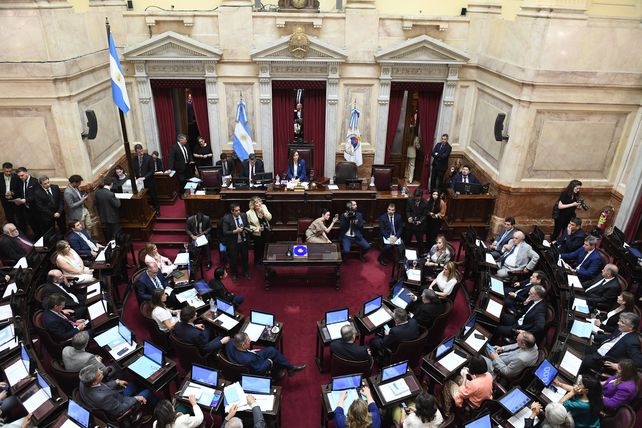 El Senado Aprobó En General La Ley Bases Con El Voto Definitivo De