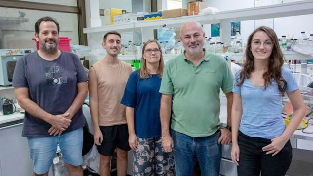 Investigadores de Rosario descifran nuevos secretos sobre la ...