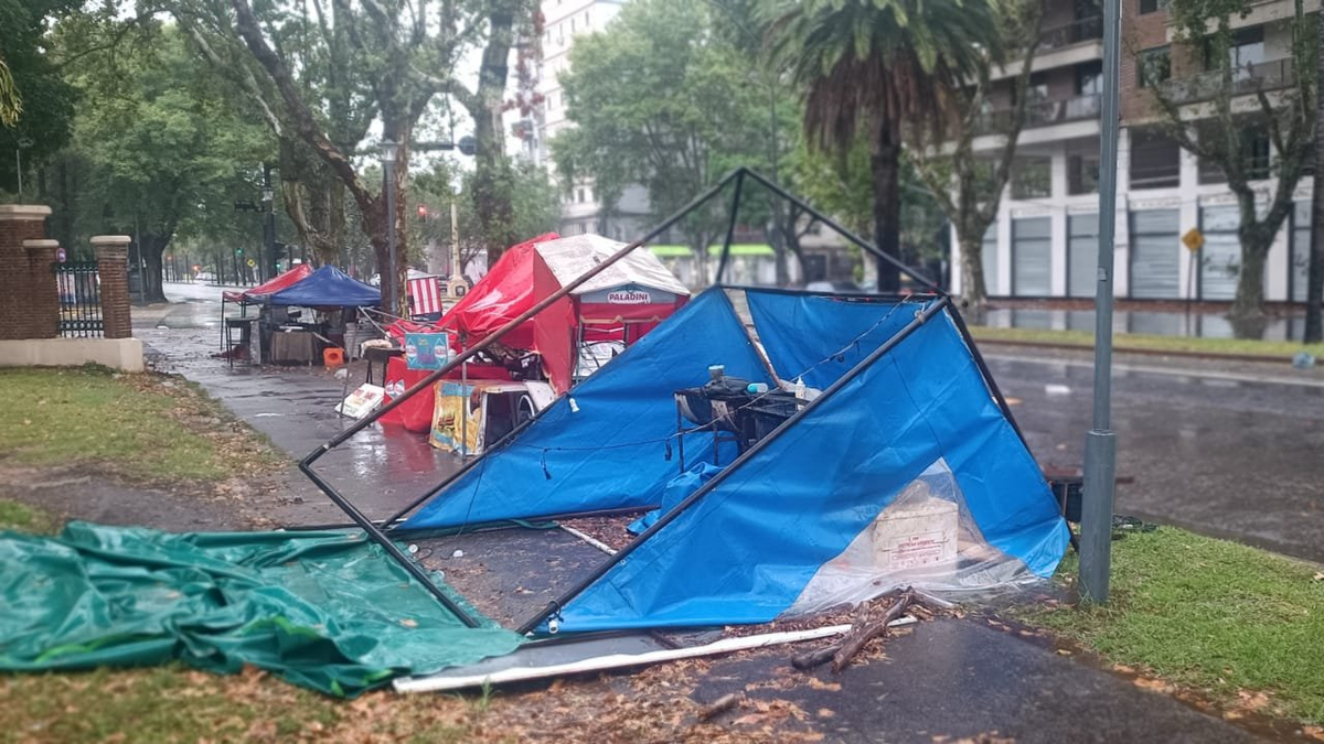Una fuerte tormenta inundó calles y tumbó árboles en Rosario: cómo ...
