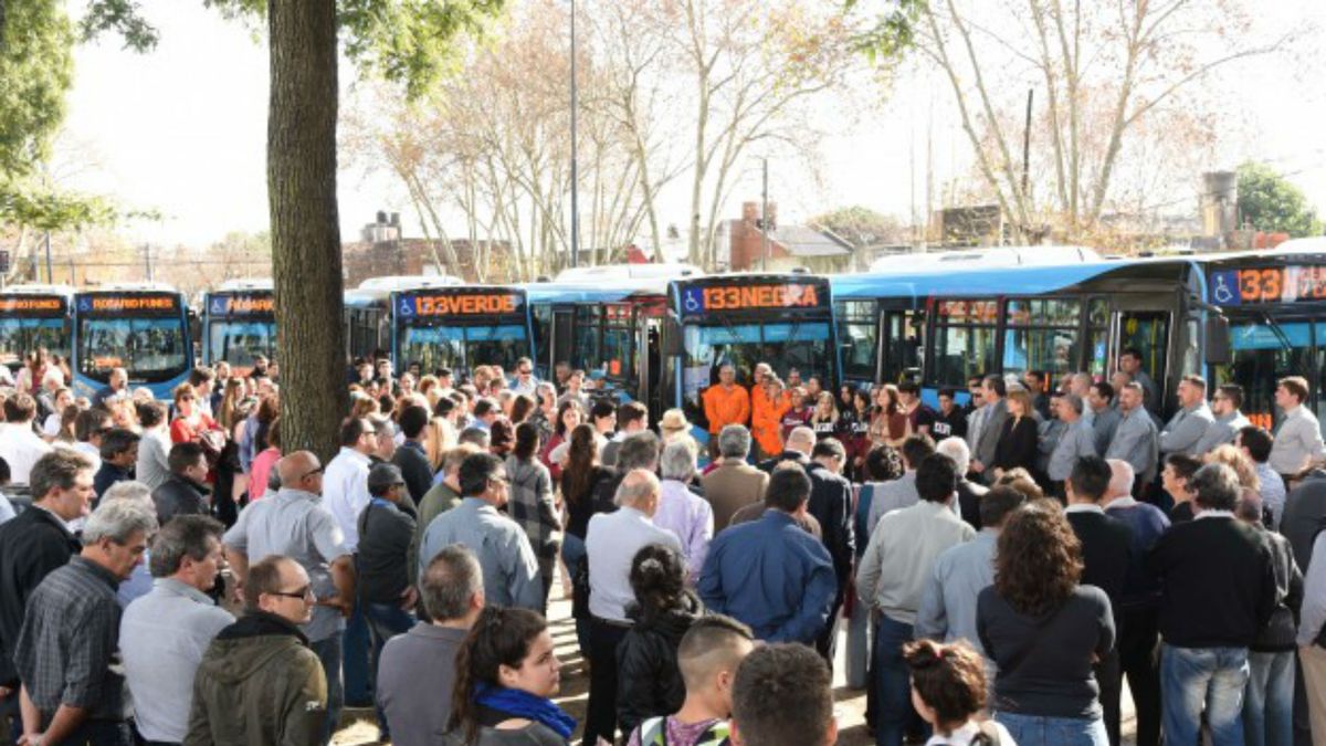 La línea 133 del transporte urbano sumó 22 nuevas y modernas unidades