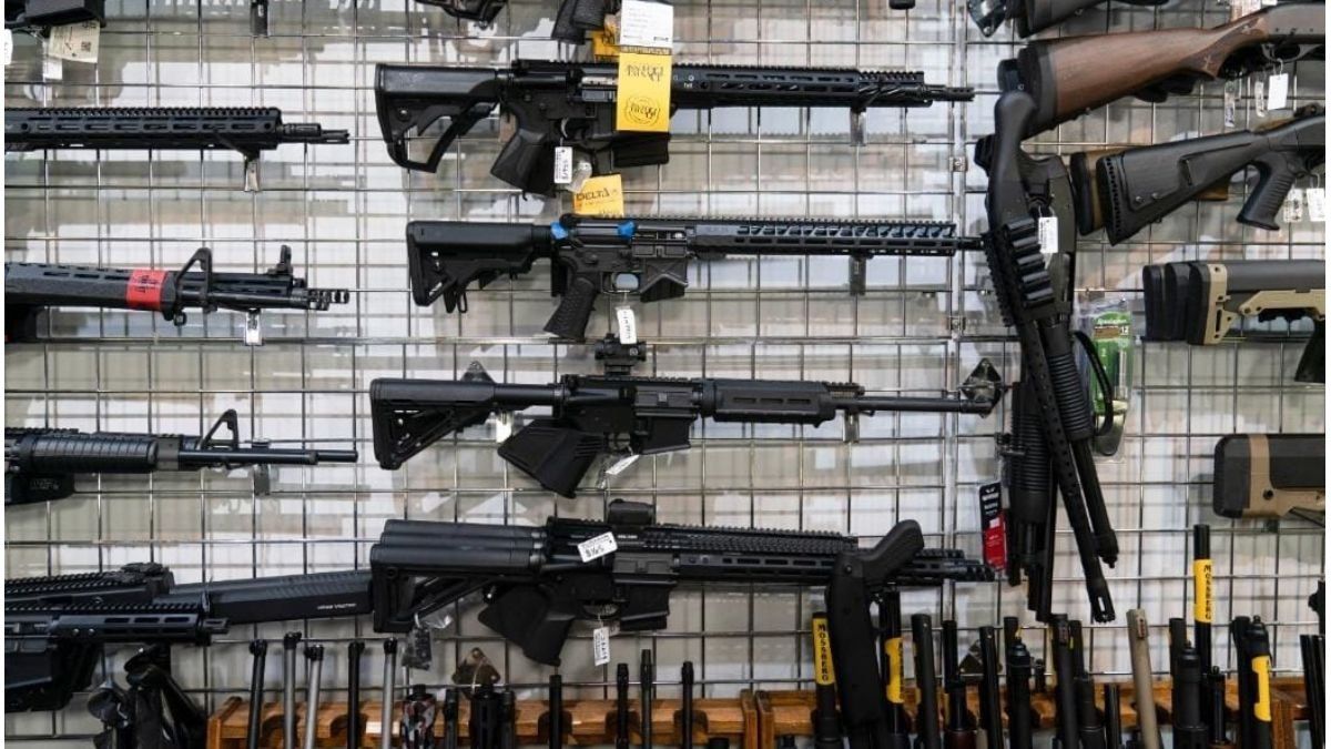Armas semiautomáticas: el Gobierno oficializó requisitos para la ...