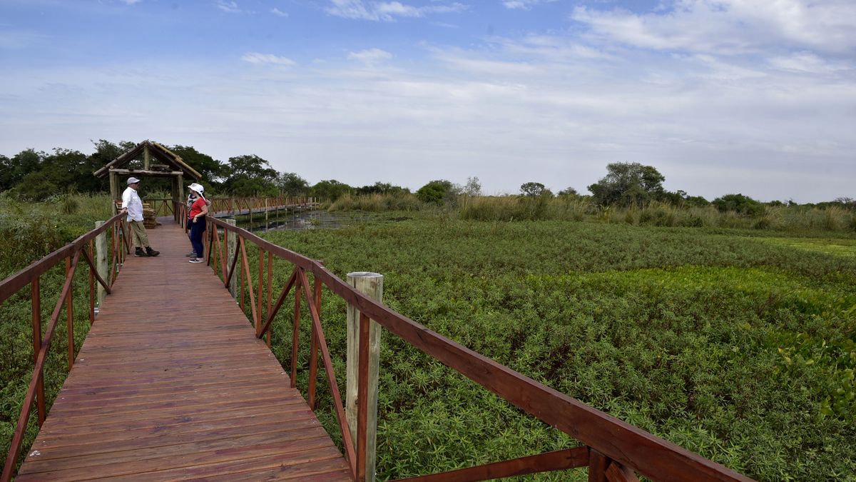 La historia de Deliot y el destino de su herencia millonaria