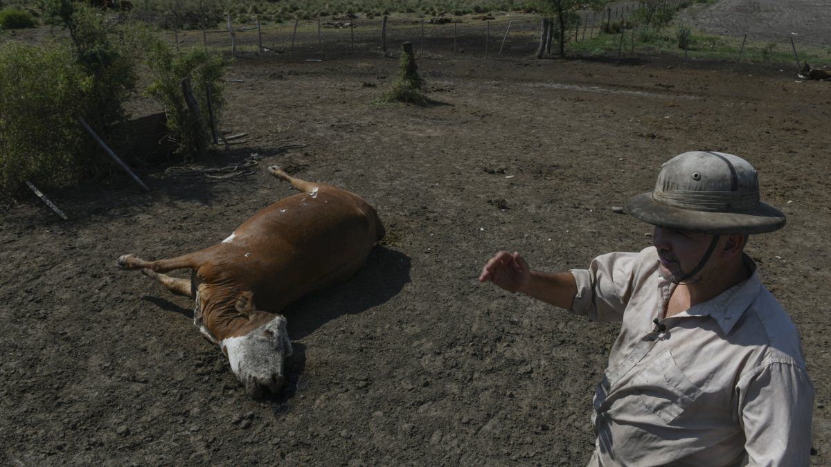 Sequía en Santa Fe: la provincia prorroga la emergencia agropecuaria ...