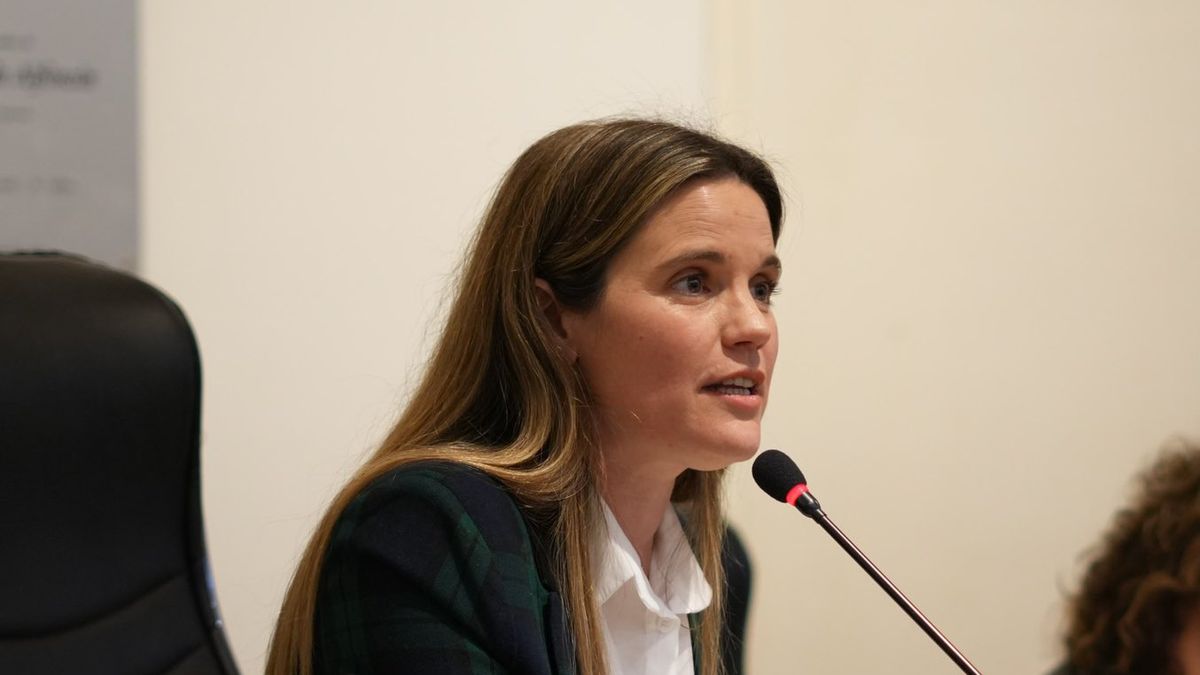 Elecciones 2025: Caren Tepp dijo que la lista peronista le da ...
