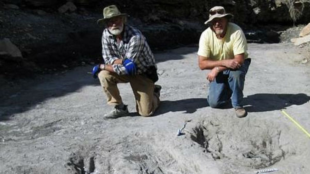 El cortejo de los dinosaurios era similar al de las aves