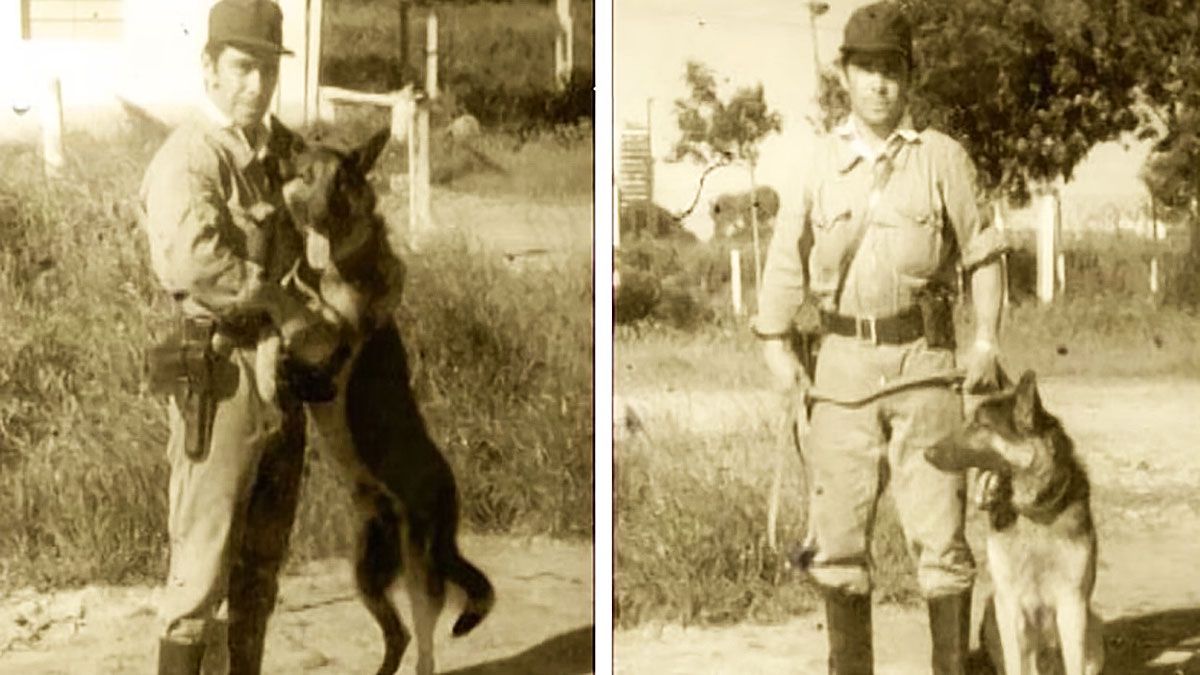 Chonino, el perro policía que es historia