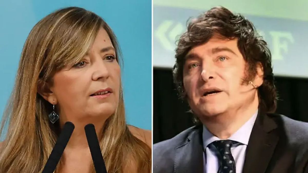 Cerruti apuntó contra Milei por la difusión de imágenes falsas de robos a comercios