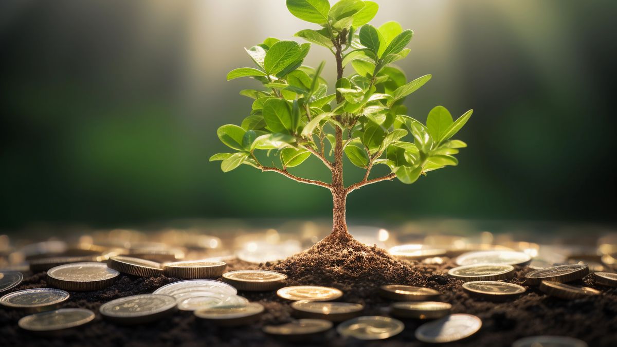 Bonos verdes: oportunidades y desafíos de financiamiento ante un ...