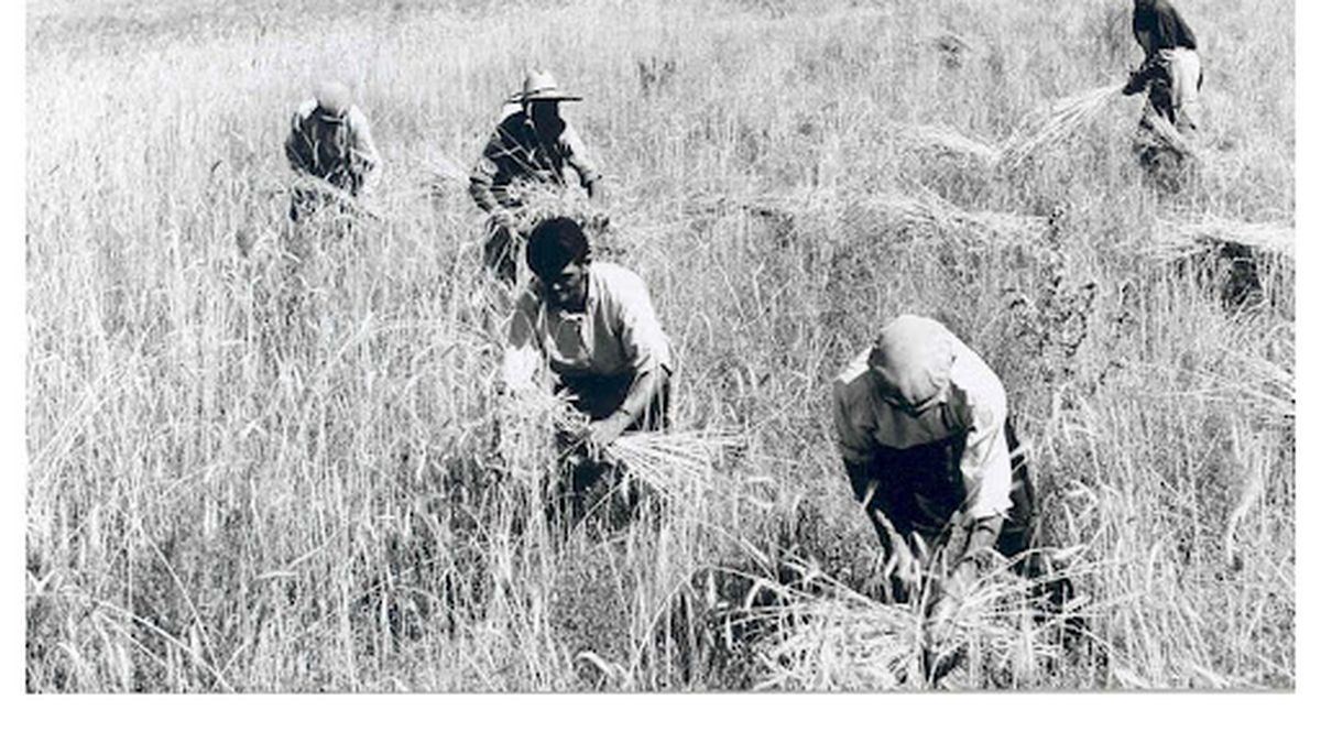 Recuerdos de la antigua trilla