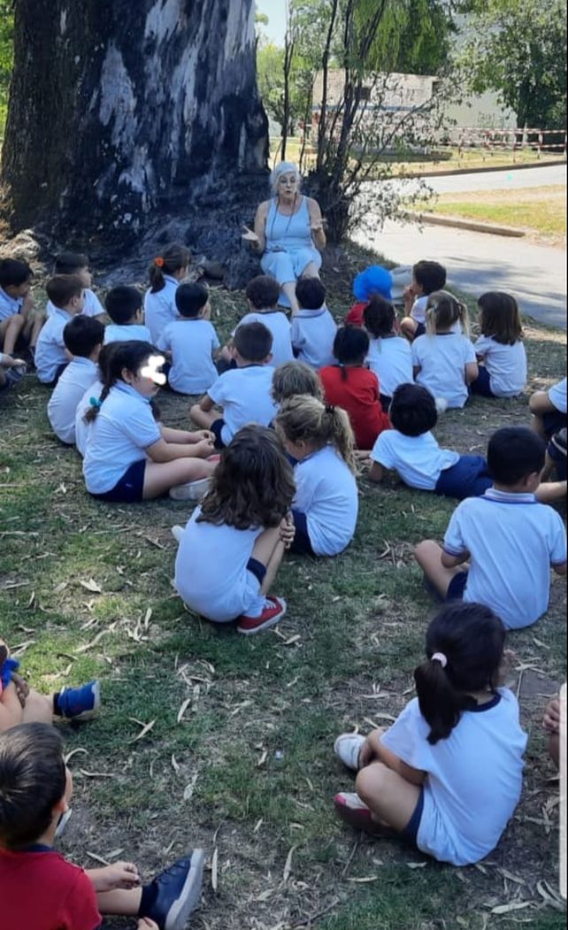 Vecinos de Fisherton buscan salvar un eucalipto más antiguo que el barrio