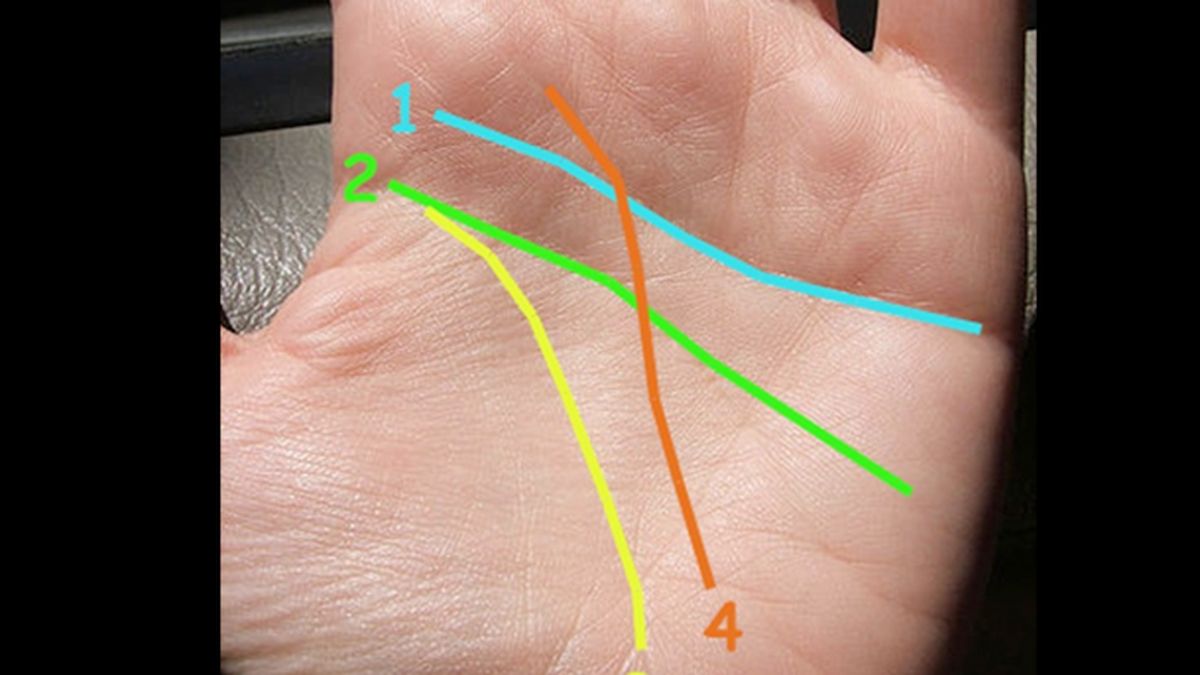 Cómo leer tus manos