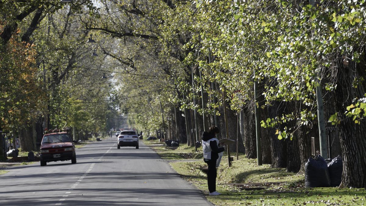Buscan construir edificios de hasta cinco pisos en Fisherton